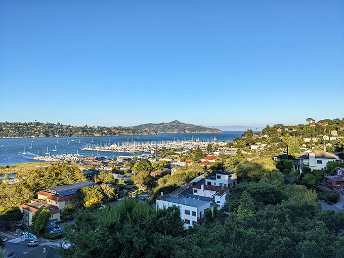 From this vantage point, Sausalito reveals itself as a perfect jigsaw puzzle of marinas, hillside homes, and impossibly blue water.