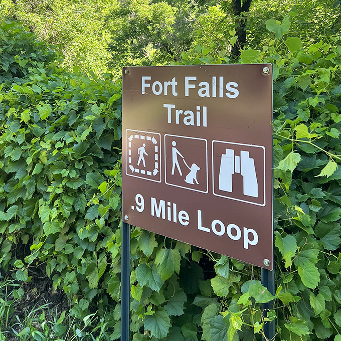 Fort Falls Trail: where 0.9 miles feels like a journey through multiple ecosystems, no passport required.