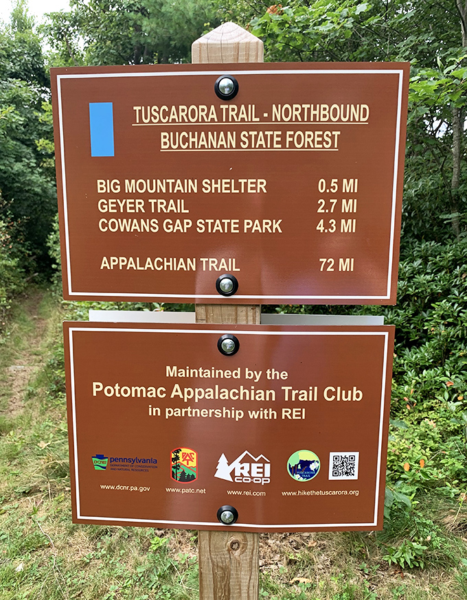 Trail signs remind you that Big Mountain connects to adventures way beyond this single spectacular stopping point.