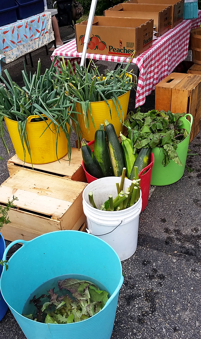 Fresh vegetables standing at attention in their colorful tubs. These aren't just ingredients—they're possibilities waiting to happen in your kitchen.
