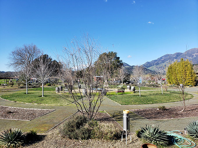 Beyond the geyser, the grounds offer peaceful gardens where you can contemplate the fiery forces lurking beneath California's serene surface.