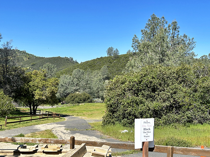 The serene landscape above gives no hint of the spectacular world beneath &ndash; nature's ultimate "don't judge a book by its cover" moment.