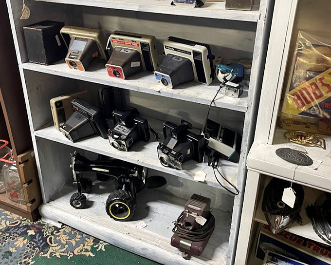 Cameras that captured family memories long before smartphones made everyone a photographer. Each one tells stories in mechanical precision.