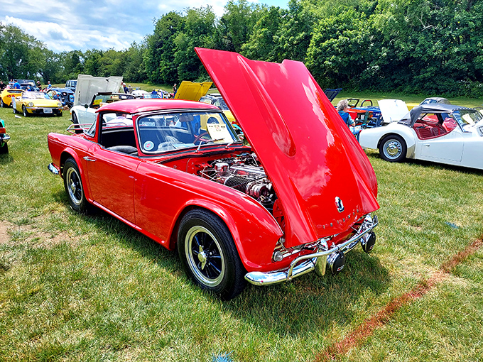 Classic cars find their perfect backdrop at Colt State Park. This British beauty in fire-engine red proves some vintage things improve with age.