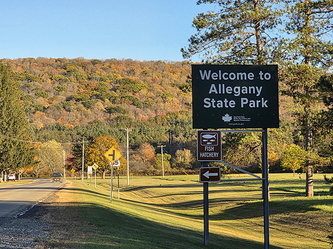 The welcome sign that means you've officially left your worries in the rearview mirror.