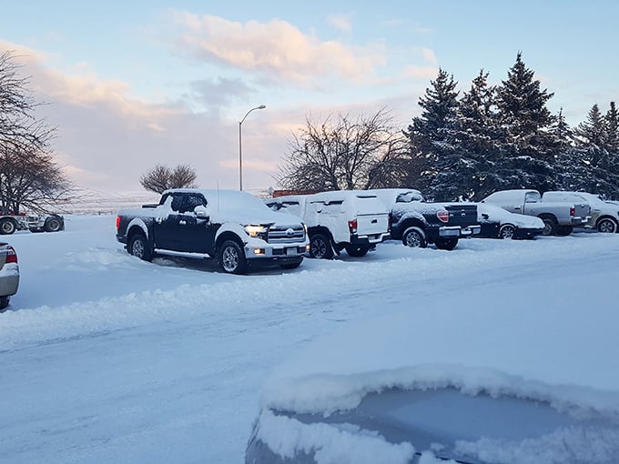 Winter blankets Douglas in pristine white, transforming pickup trucks into snow-capped monuments to Wyoming's practical approach to transportation.