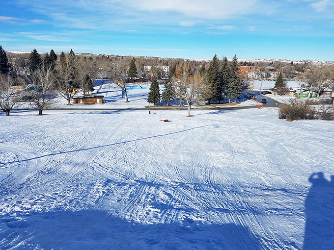 Winter transforms Buffalo into a snow globe you'd actually want to live inside &ndash; minus the whole being shaken part.