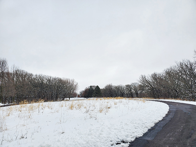Winter transforms the park into a peaceful wonderland where silence becomes the most beautiful sound around.