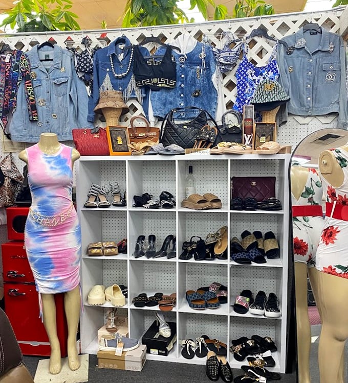 Fashion that says "I know things" arranged with the care of a boutique but priced for actual humans. Denim jackets and designer-inspired bags await their forever homes.