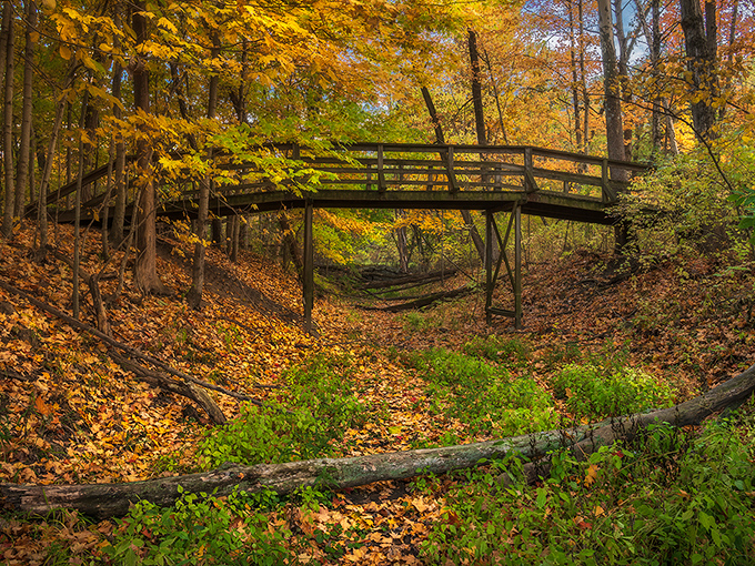 This wooden footbridge over a leaf-carpeted ravine isn't just a crossing&mdash;it's a portal between everyday life and woodland magic.