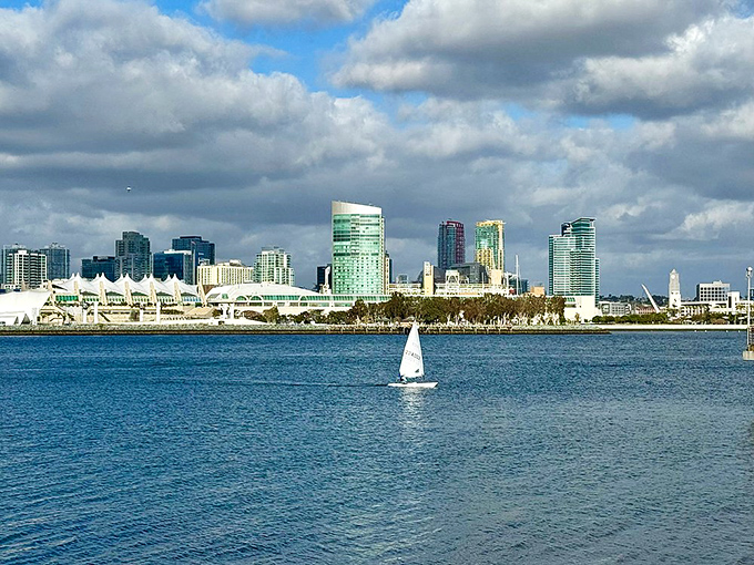 Downtown skyline rises across the bay like a postcard come to life, best viewed with something cold in hand.