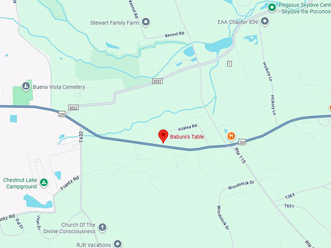 16. babuni’s table polish deli map