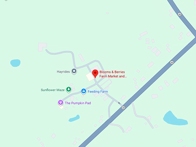 16. blooms & berries farm market and garden center map