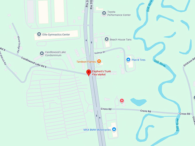 16. elephant’s trunk flea market map