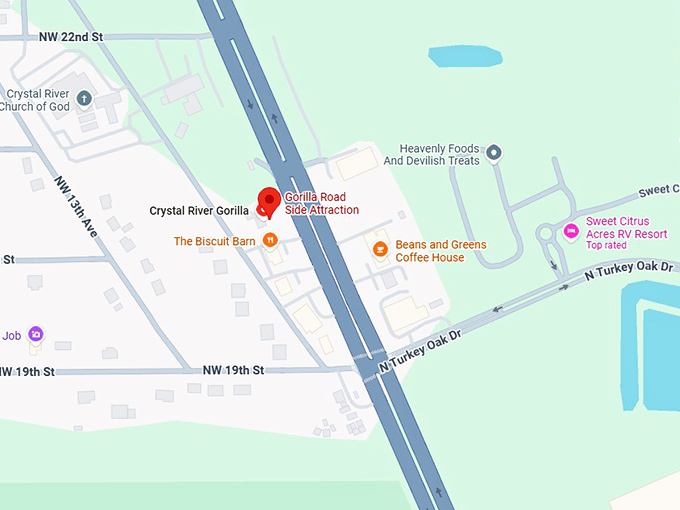 16. gorilla road side attraction map