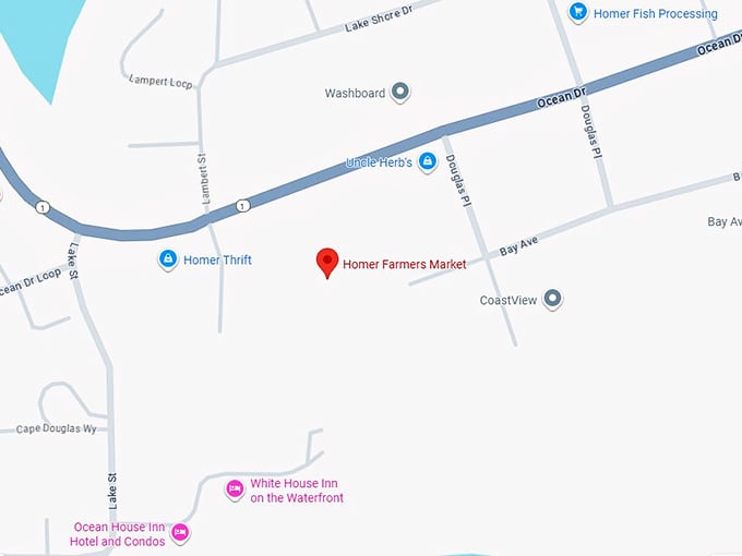 16. homer farmers market map