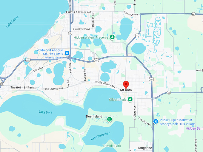 16. mount dora, fl map