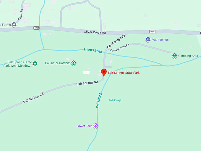 16. salt springs state park map