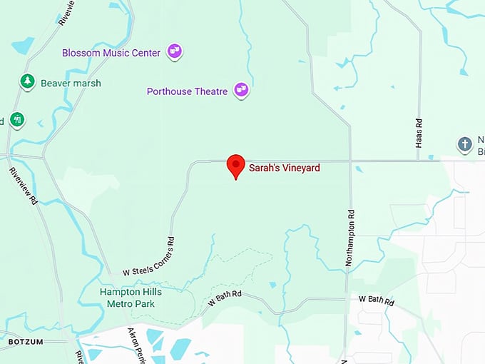 16. sarah's vineyard map