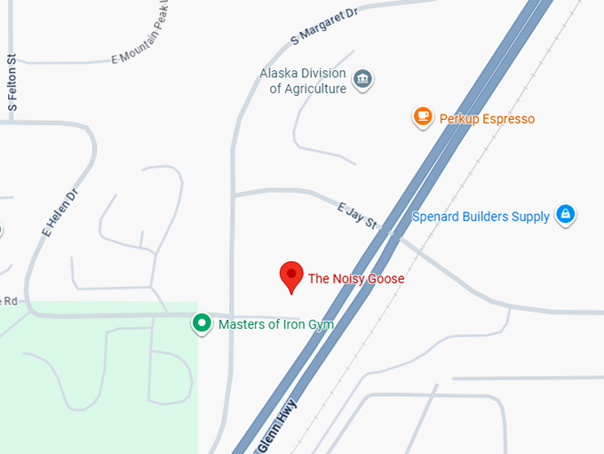 16. the noisy goose map