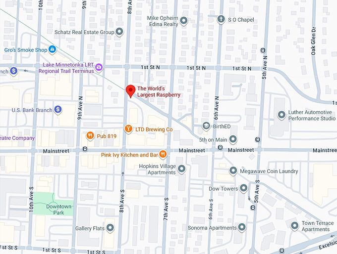16. the world's largest raspberry map