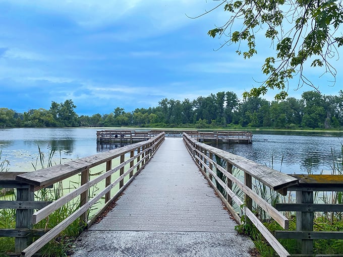 A wooden boardwalk stretches into the peaceful wetlands of Bay City State Park, where nature's drama unfolds with every step.