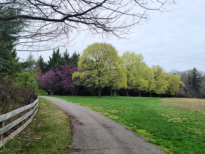 Spring awakens at Bellevue State Park, where this winding path promises adventures through nature's colorful rebirth. Mother Nature's welcome mat has never looked so inviting!