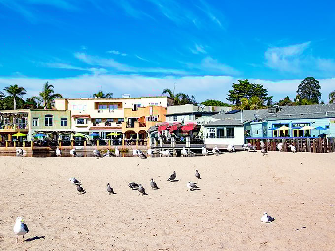 Colorful buildings line Capitola's beachfront like a painter's palette spilled onto the sand. Seagulls hold meetings while tourists snap photos.