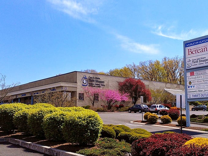 The Care & Share Thrift Shoppes exterior welcomes bargain hunters with colorful landscaping and the promise of treasures waiting inside.