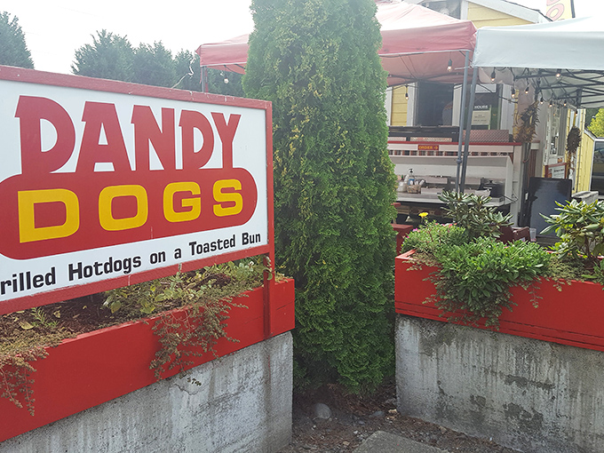 The bright red Dandy Dogs sign promises simple perfection – grilled hot dogs on toasted buns, no fancy frills needed.