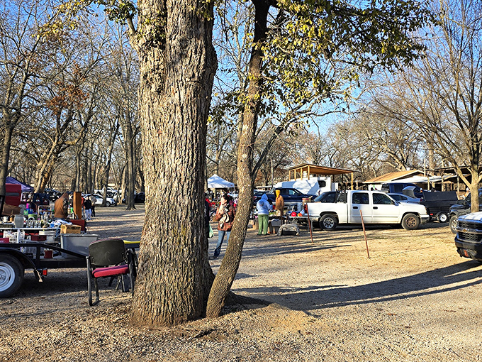 Treasure hunting under Oklahoma skies! Vendors set up shop among towering trees at Dog Trade, creating a perfect outdoor bargain-hunting paradise.