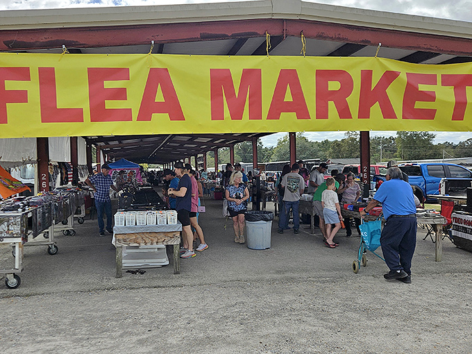 Bargain hunters' paradise! The bustling outdoor aisles of Menge Flea Market promise treasures waiting to be discovered around every corner.
