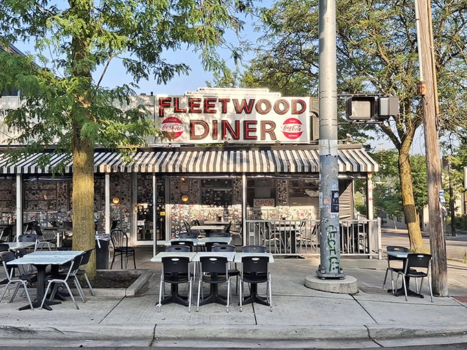 That classic chrome gleam against sunshine - pure diner poetry that makes your heart skip.