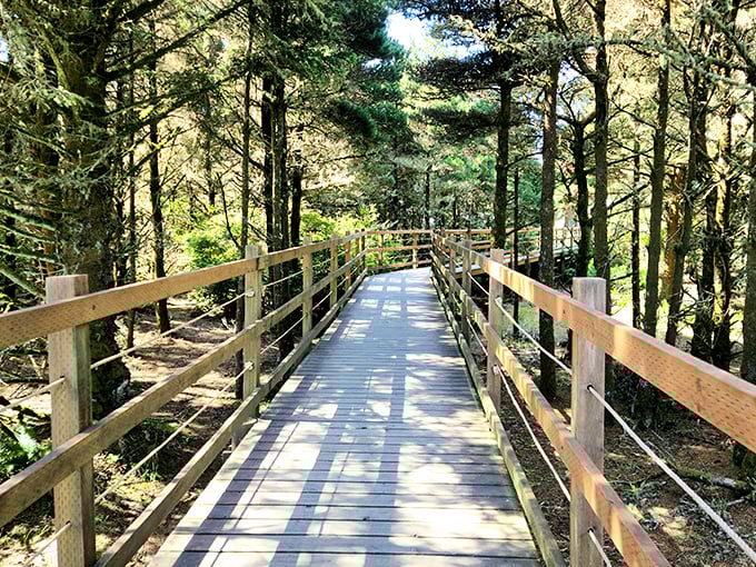 A wooden boardwalk beckons through Fort Stevens' forest &ndash; nature's version of the yellow brick road, minus the flying monkeys.