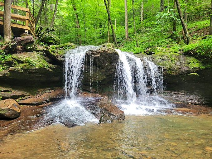 Nature's own water feature puts most backyard fountains to shame with this cascading masterpiece.
