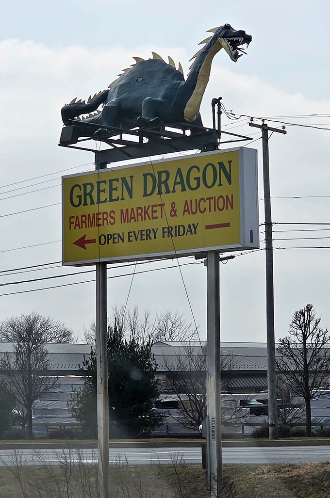 That green dragon isn't just decoration&mdash;it's practically demanding you discover the treasures below!