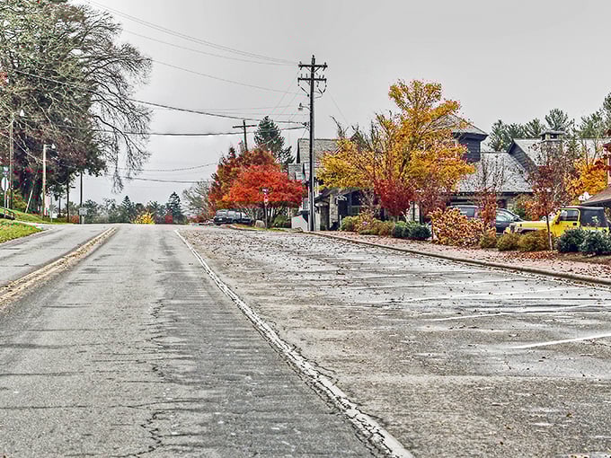 Fall colors paint this quiet street like nature's own masterpiece, where every leaf tells a story.