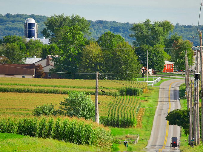 Rolling hills and winding roads create the perfect postcard scene where time moves at buggy speed.