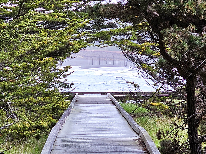 This wooden boardwalk frames the Pacific Ocean like a natural picture window, inviting you into coastal paradise ahead.