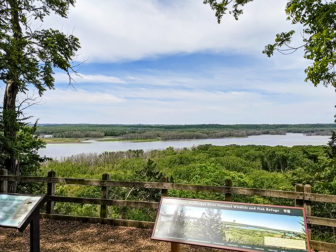 The Mississippi River stretches out like nature's highway from this overlook. Mother Nature showing off her best side at Mississippi Palisades.