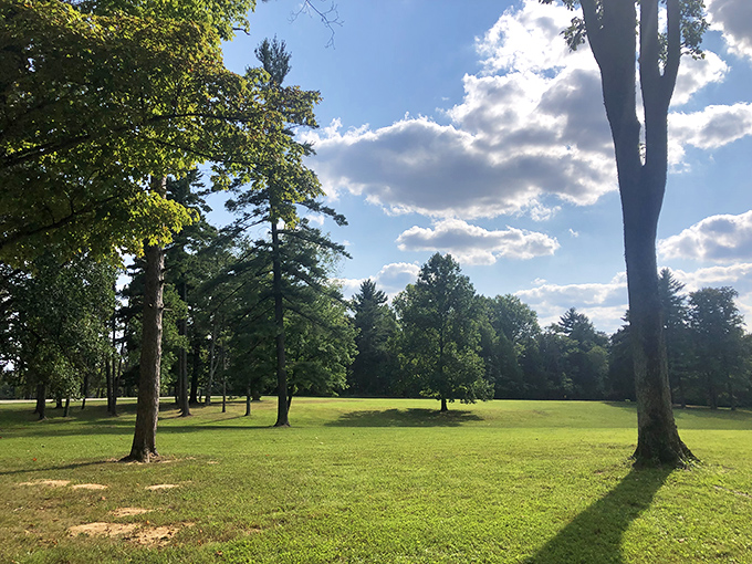 Nature's green carpet stretches endlessly, inviting you to forget your worries and breathe deeply.