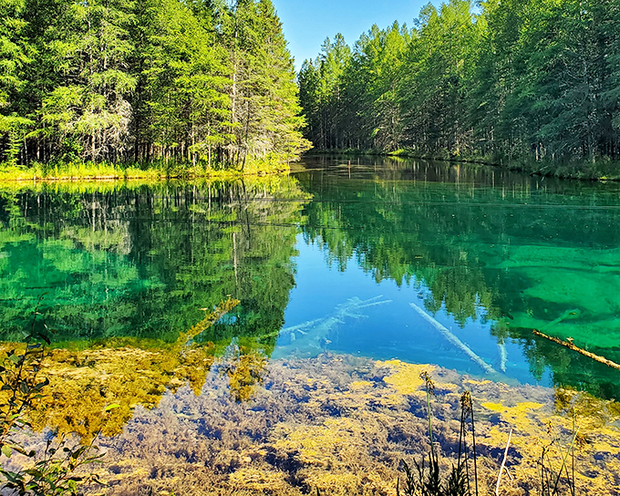 Kitch-iti-kipi's emerald waters aren't just clear &ndash; they're practically showing off. Mother Nature's version of a swimming pool with see-through walls!