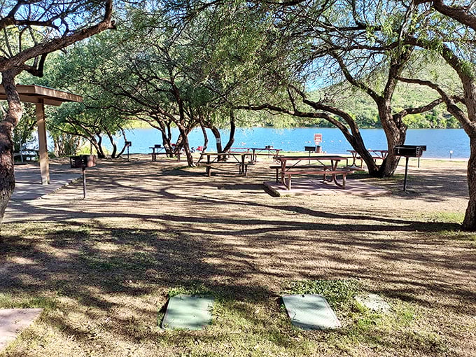 Shaded picnic tables at Patagonia Lake &ndash; where lunch comes with a side of serenity and water views.