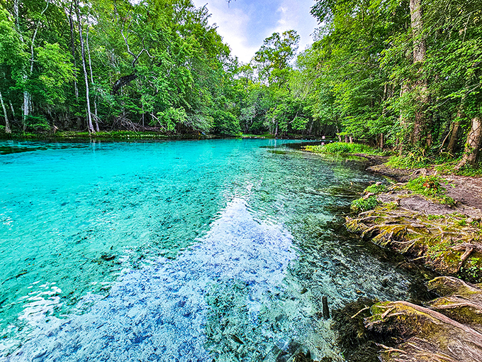 Crystal clear water that makes your swimming pool look like chocolate milk in comparison.