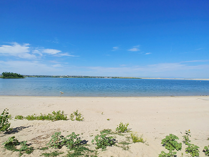 Golden sands meet crystal blue waters at this hidden Colorado gem. Who needs the ocean when paradise is in your backyard?