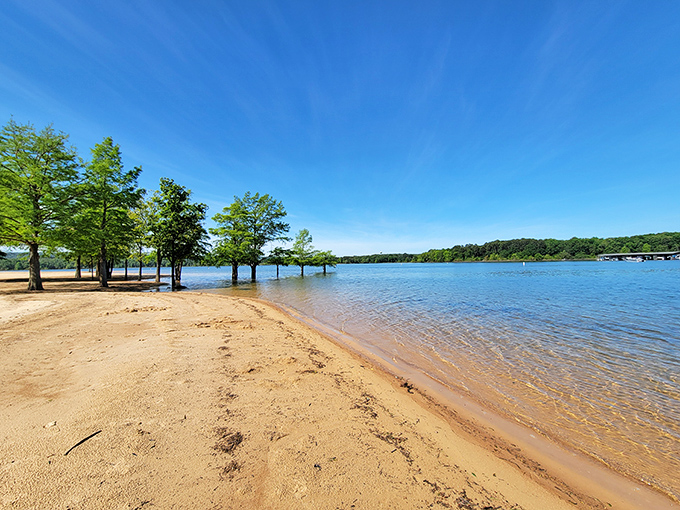 Trees standing in crystal-clear water create nature's perfect beach umbrella at this peaceful Greers Ferry Lake hideaway.