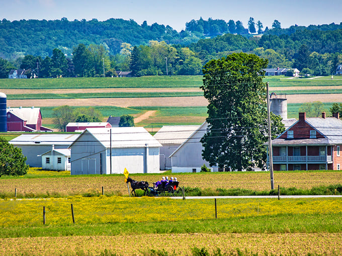 Strasburg's patchwork farmland stretches across the countryside, with an Amish buggy traveling past traditional barns and farmhouses.