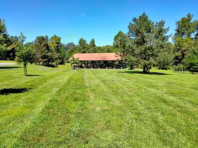 A peaceful pavilion nestled among towering pines at Susquehanna State Park. Nature's perfect meeting spot for family reunions or quiet contemplation.