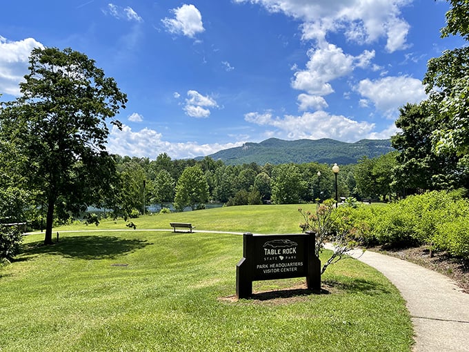 Rolling green hills meet mountain peaks in this postcard-perfect view that'll make your heart skip.