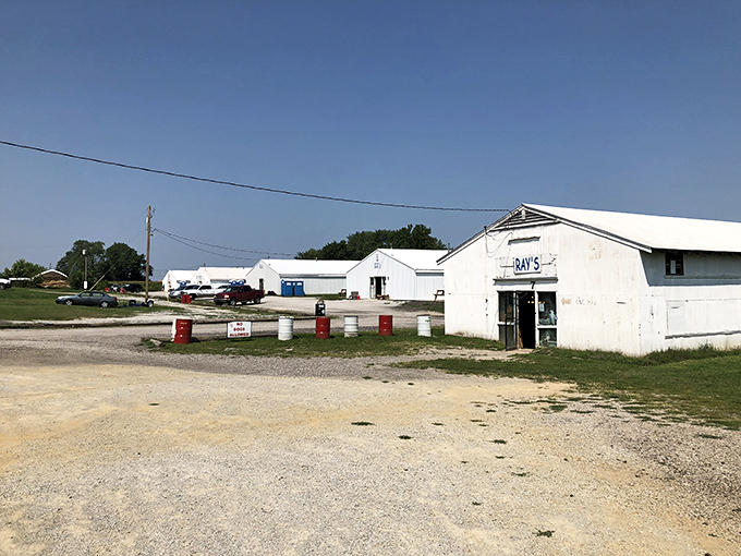 The unassuming white buildings of Uncle John's Flea Market hide treasures that would make Indiana Jones rethink his career path.